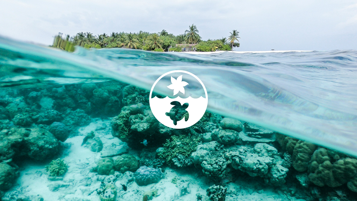 RAW ELEMENTS | Gift Card – Raw ElementsUSA